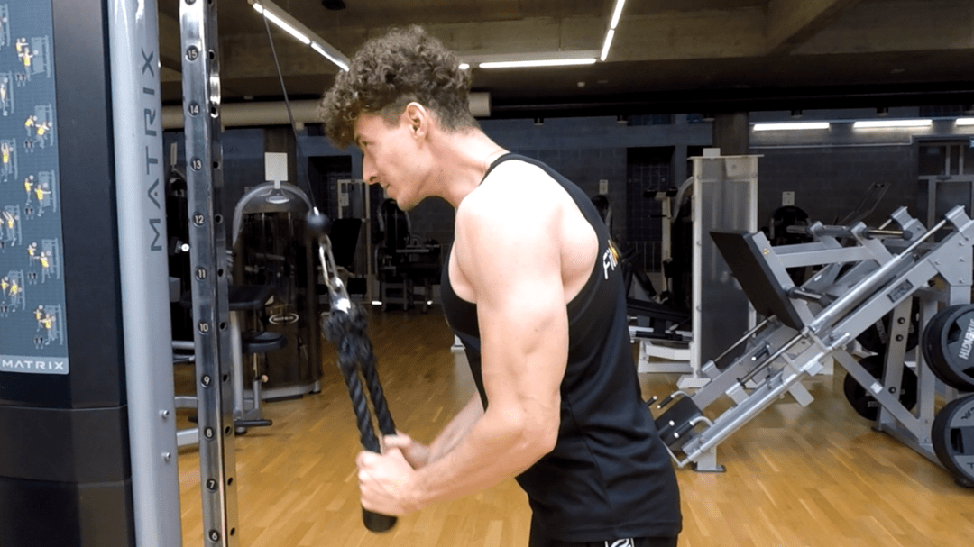 High rope pulley triceps extension - Exercise - FitMetrics
